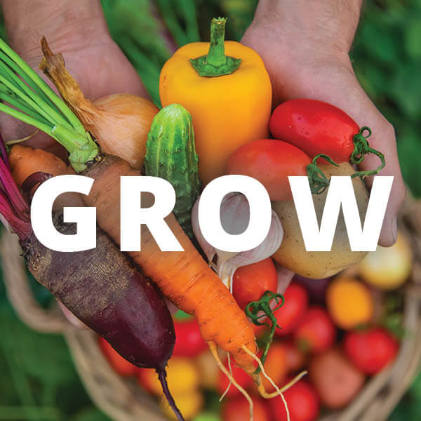 Sprout to Supper Founder's Private Offer - Food Prep Guide - Preserving ...