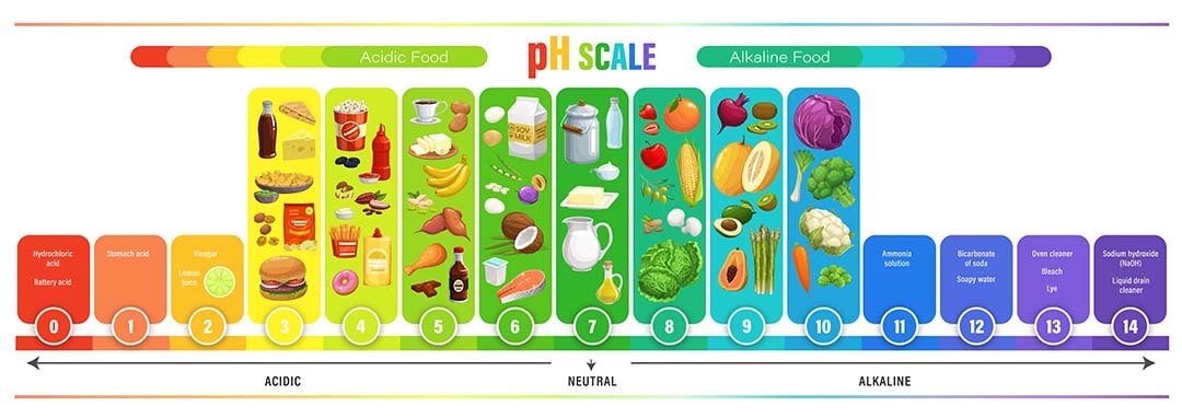 Canning Safety: What You Need to Know Before Canning - Food Prep Guide ...