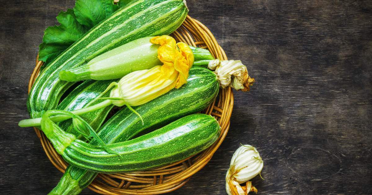11 Ways to Use Zucchini - Food Prep Guide - Preserving & Storing Food