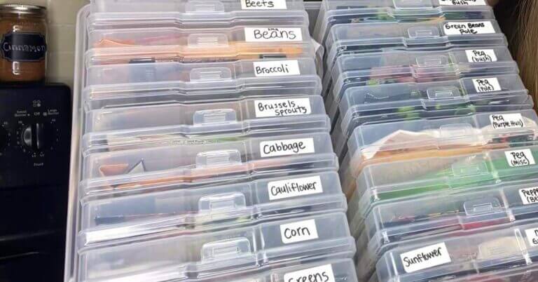 The Best Seed Storage Box & How to Use It - Food Prep Guide ...