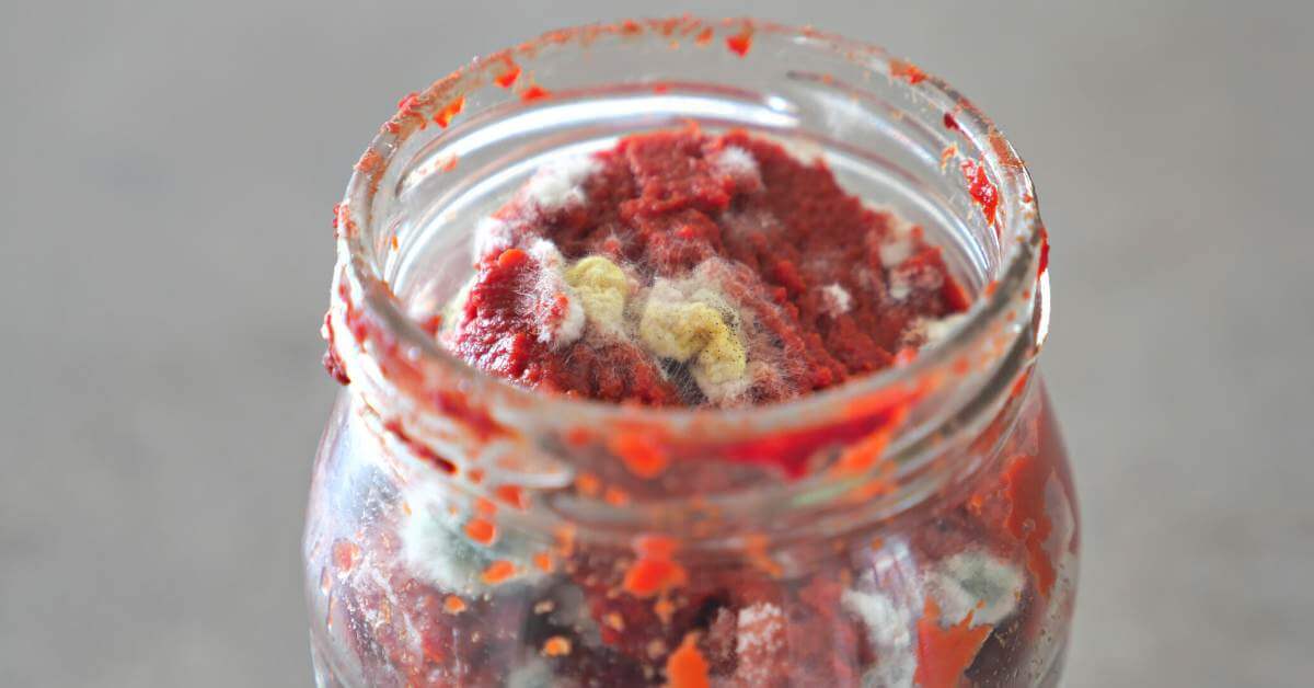 8 Signs Your Home Canned Food Is BAD - Food Prep Guide - Preserving ...