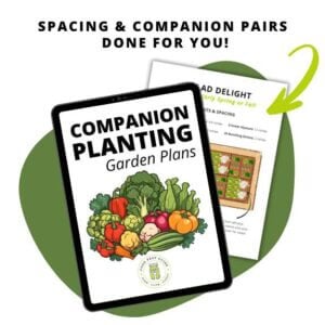 Companion Planting Garden Plans - Food Prep Guide - Preserving ...