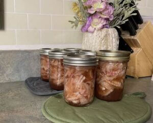 5 Ways to Preserve Onions - Food Prep Guide - Preserving & Storing Food