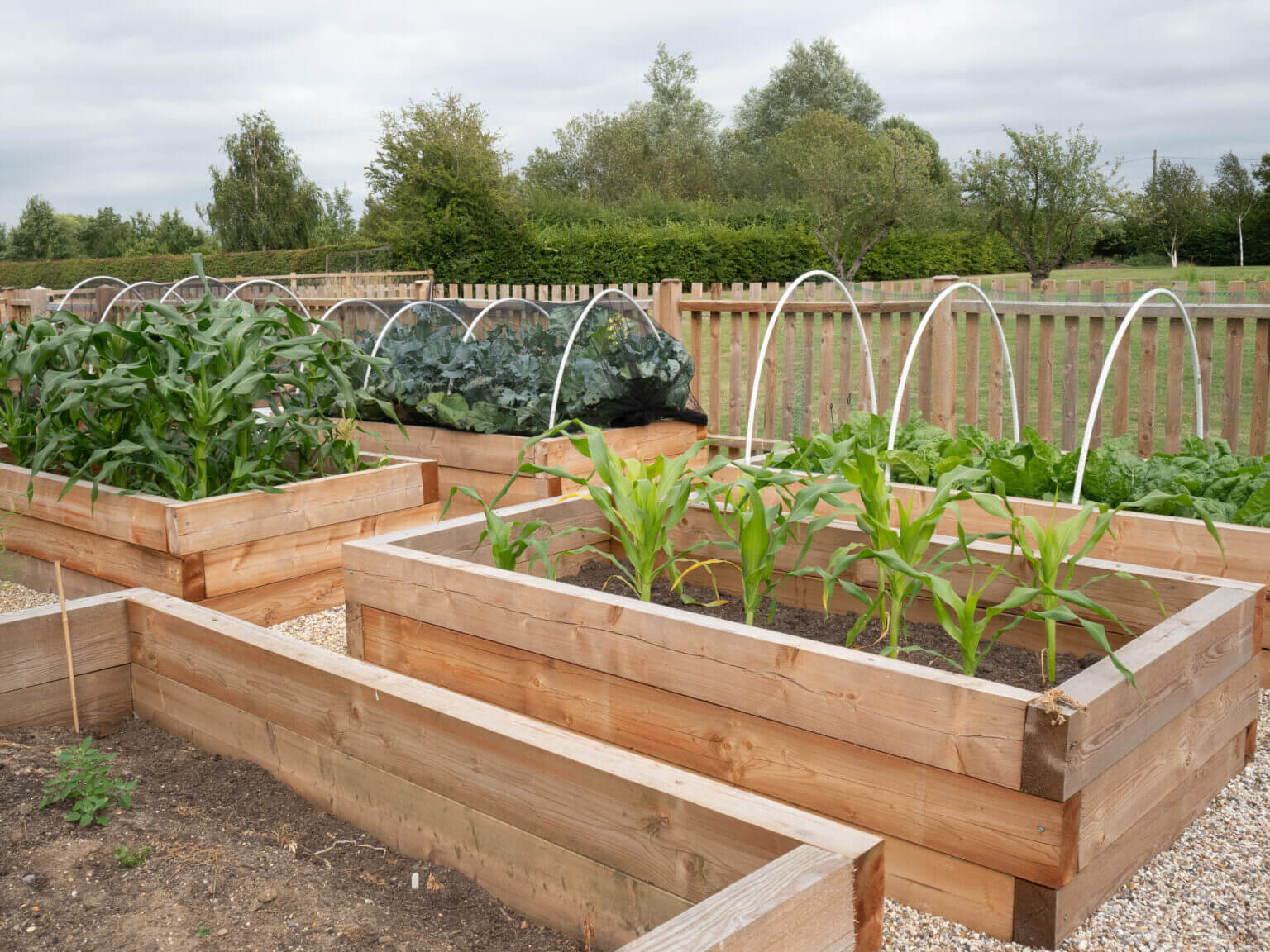 10 Wood Garden Box Ideas - Food Prep Guide - Preserving & Storing Food