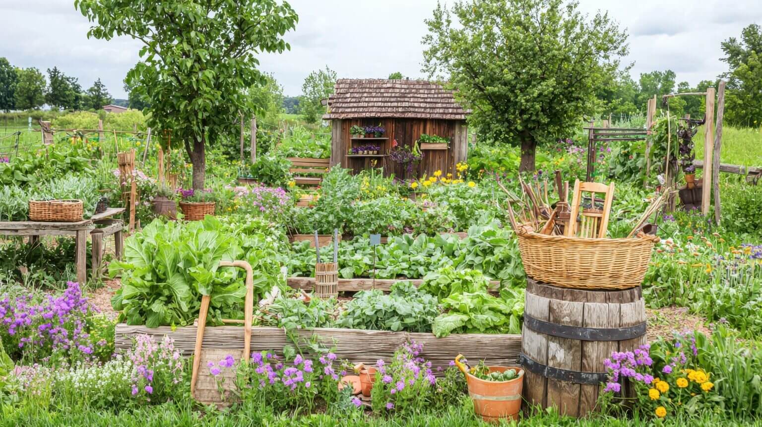11 Pretty Vegetable Garden Ideas - Food Prep Guide - Preserving ...
