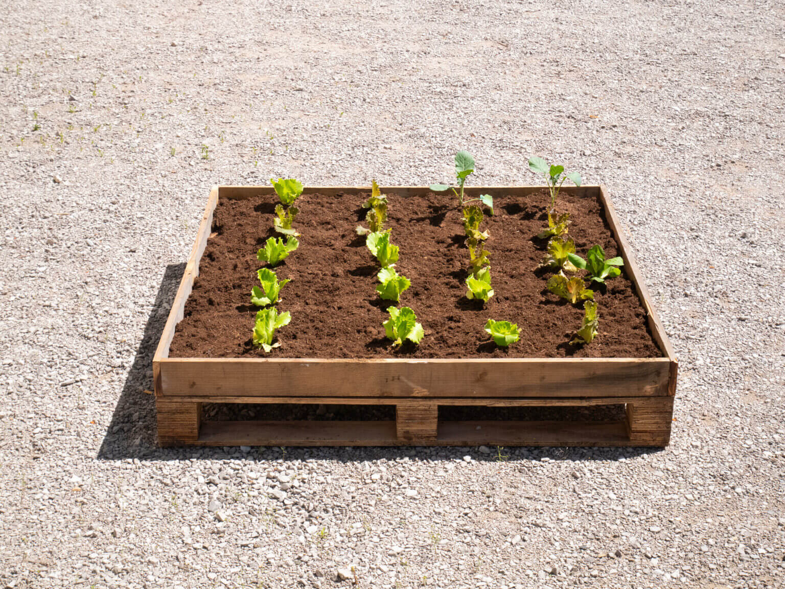 10 Pallet Raised Garden Beds - Food Prep Guide - Preserving & Storing Food