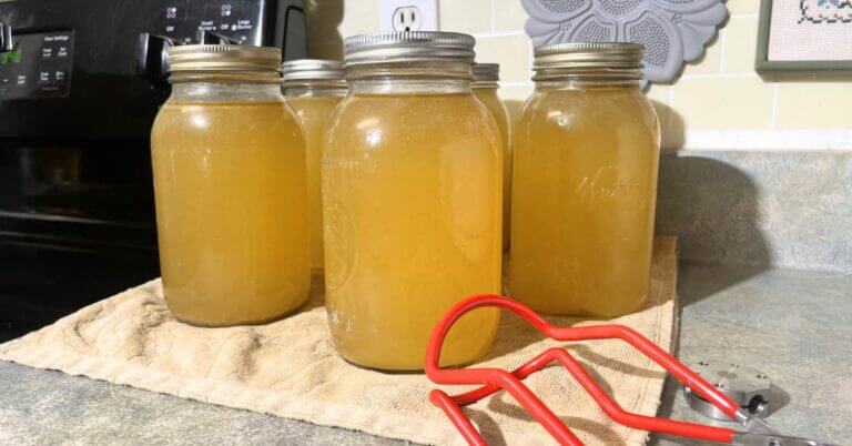 New Canning Guidelines for Broth Concentrates: What You Need to Know ...